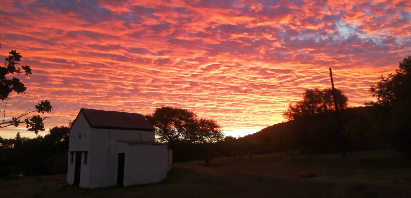 Stay At Glen Avon Farm - A Quintessential Farm Holiday - Gallery - Glen ...