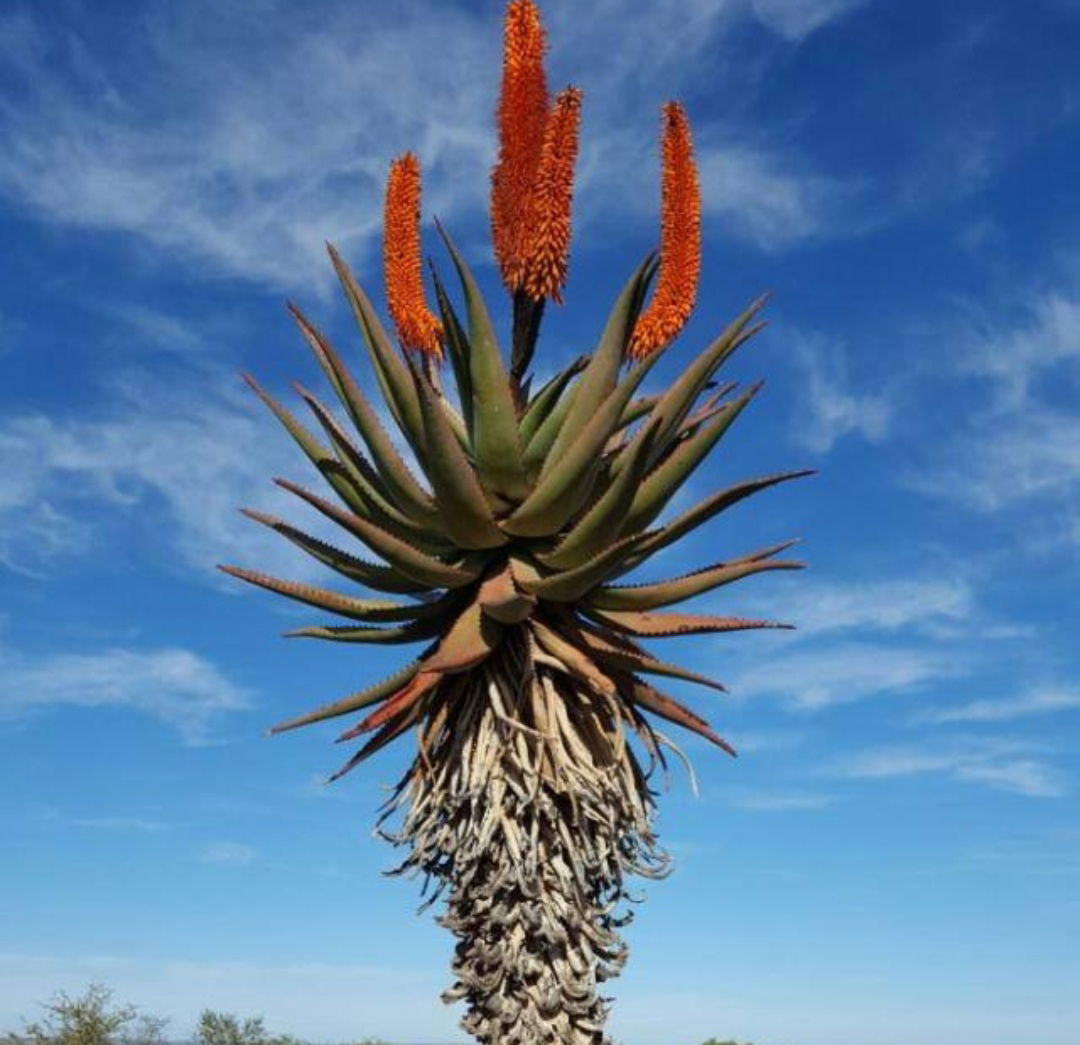 Stay At Glen Avon Farm - A Quintessential Farm Holiday - Gallery - Glen ...