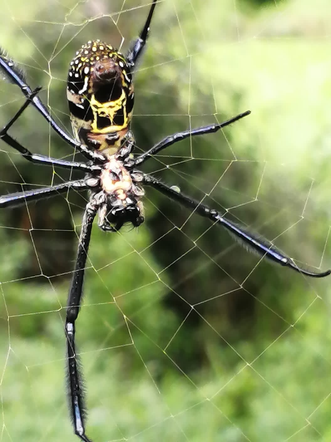 Stay At Glen Avon Farm - A Quintessential Farm Holiday - Gallery - Glen ...