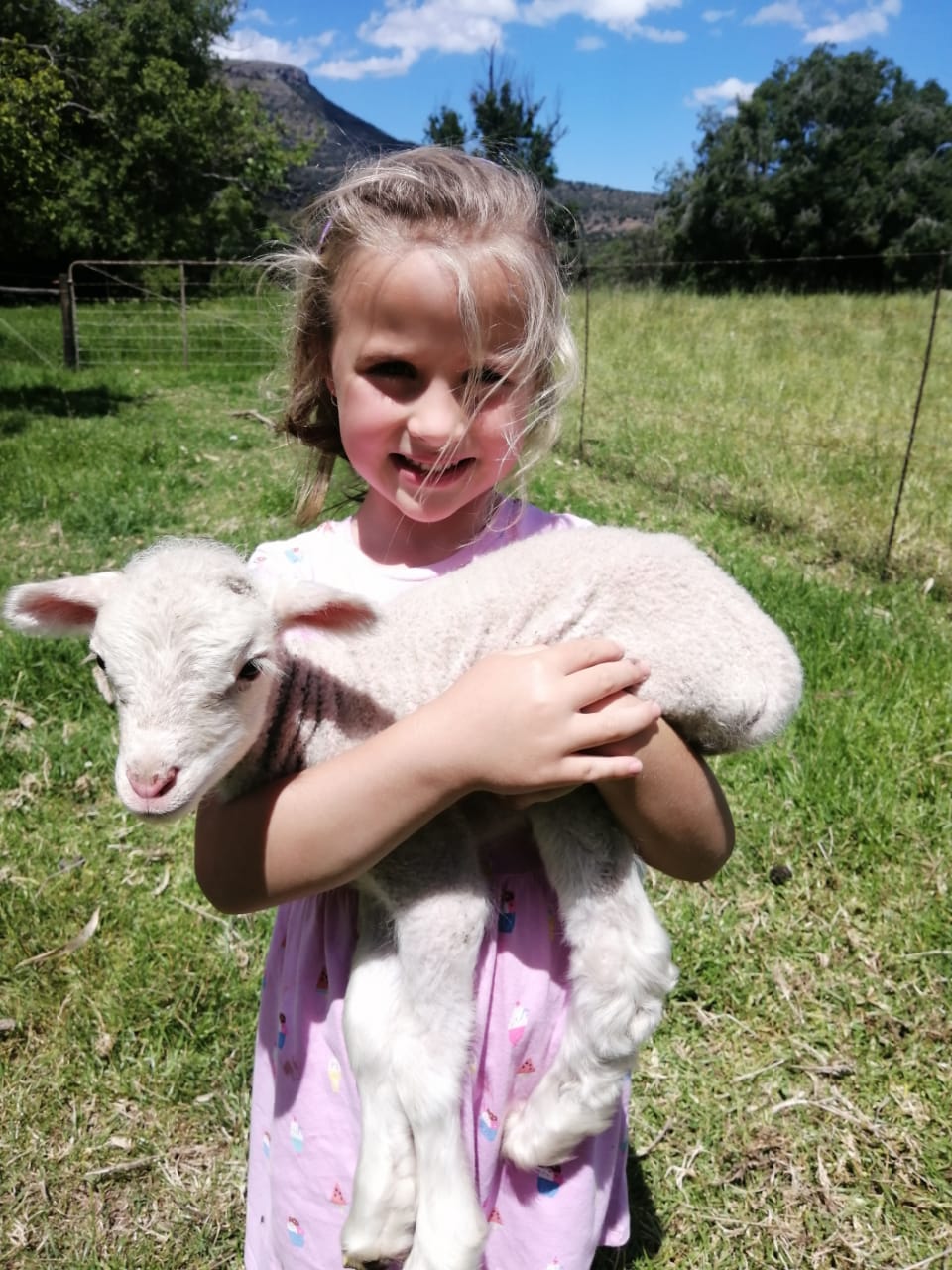 Stay At Glen Avon Farm - A Quintessential Farm Holiday - Gallery - Glen ...