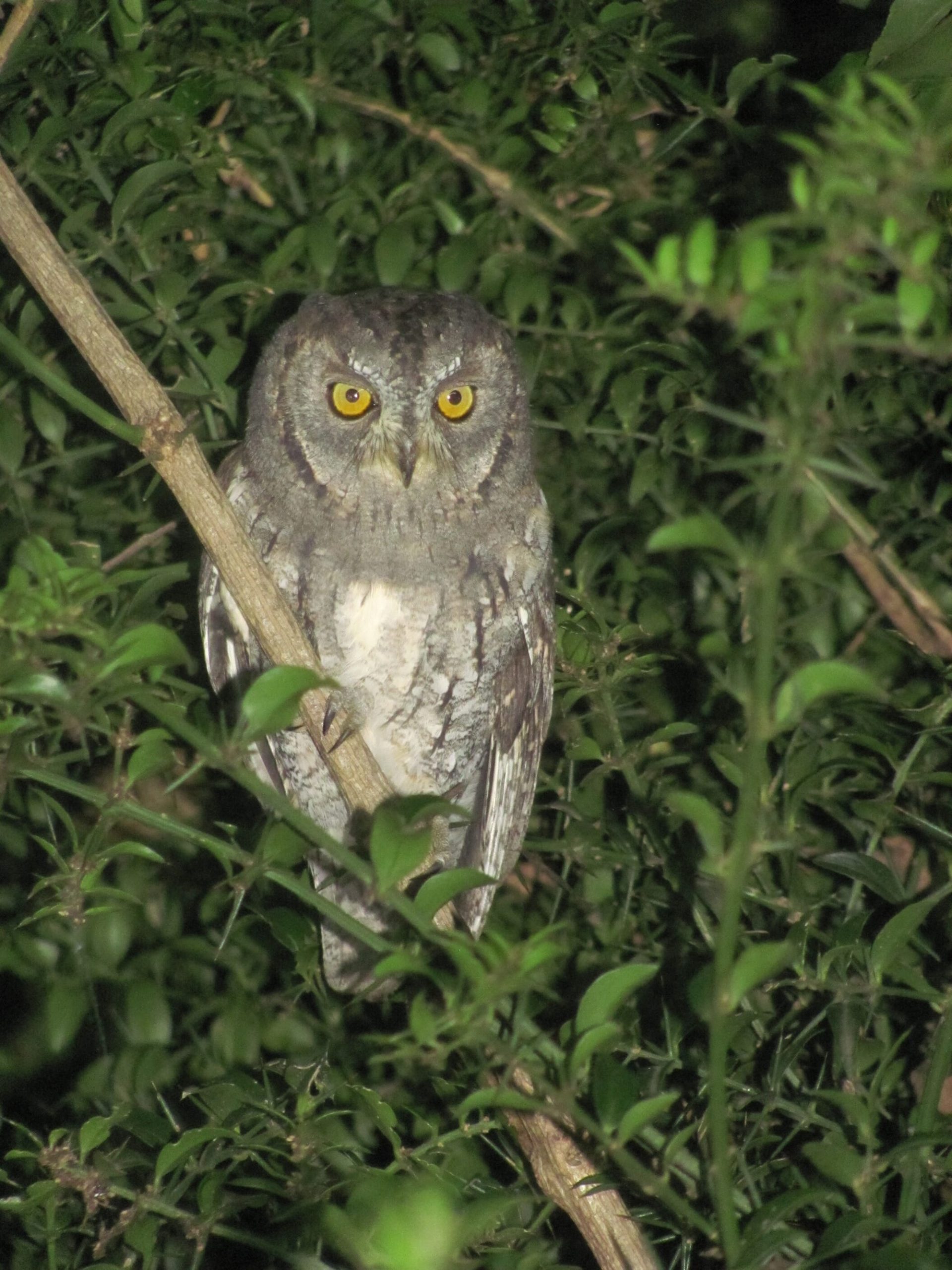 Stay At Glen Avon Farm - A Quintessential Farm Holiday - Gallery - Glen ...